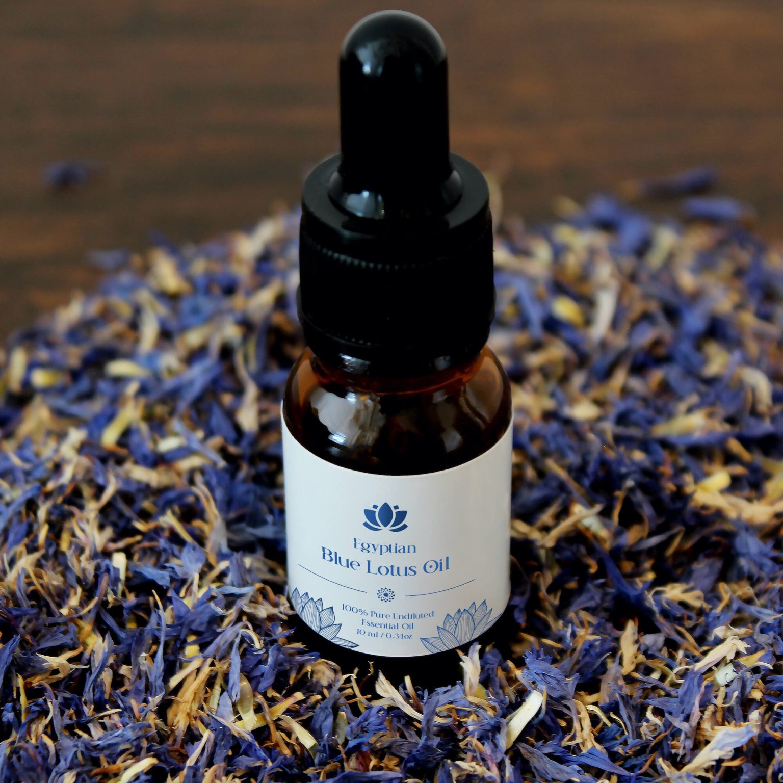 Egyptian Blue Lotus Oil (Nymphaea Caerulea) | The Gold Standard
