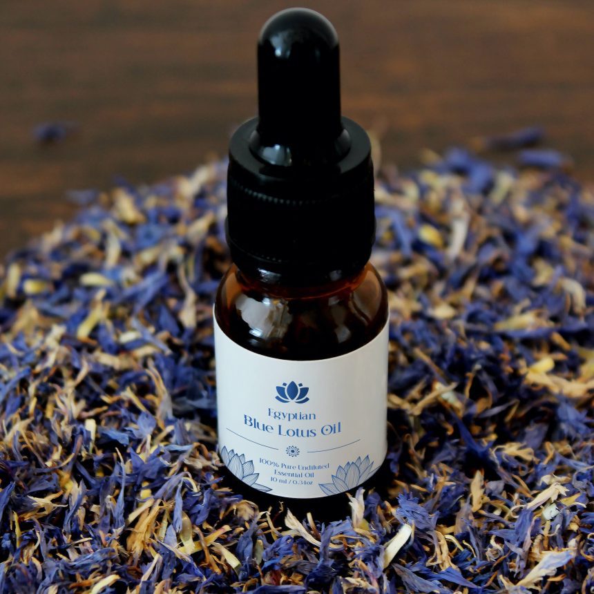 Egyptian Blue Lotus Oil (Nymphaea Caerulea) | The Gold Standard