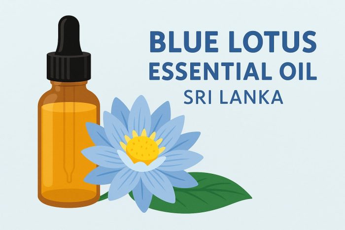 Blue Lotus Essential Oil Sri Lanka - Pure Blue Lotus Oil