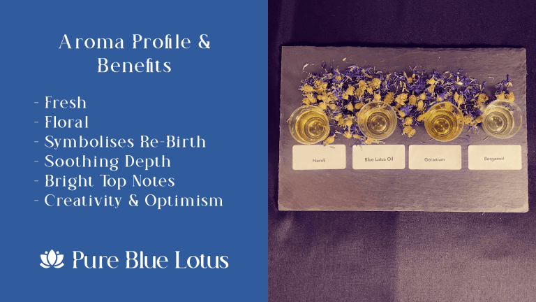 How To Use Blue Lotus Essential Oil - Pure Blue Lotus Oil