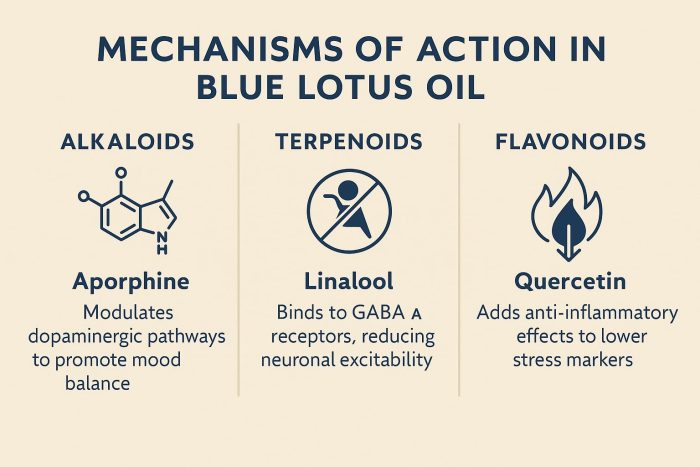 Blue Lotus Oil Health & Wellness Benefits - Pure Blue Lotus Oil