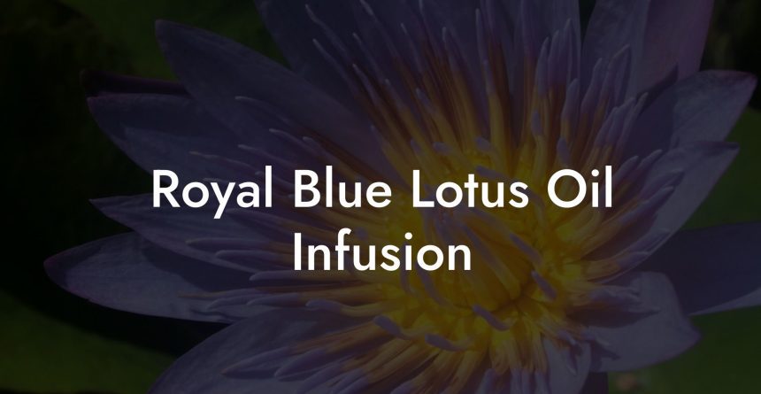 Royal Blue Lotus Oil Infusion - Pure Blue Lotus Oil